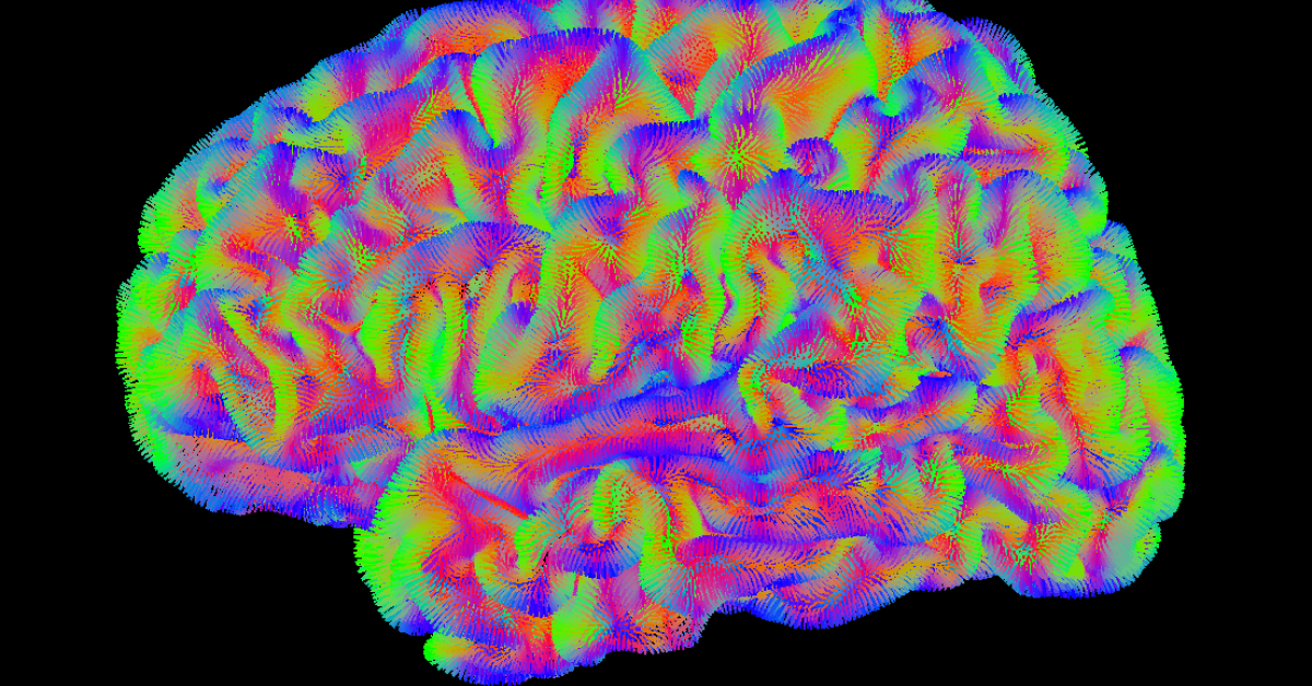 Duke Neurology Research Round Up | June 2024 | Duke Department of Neurology